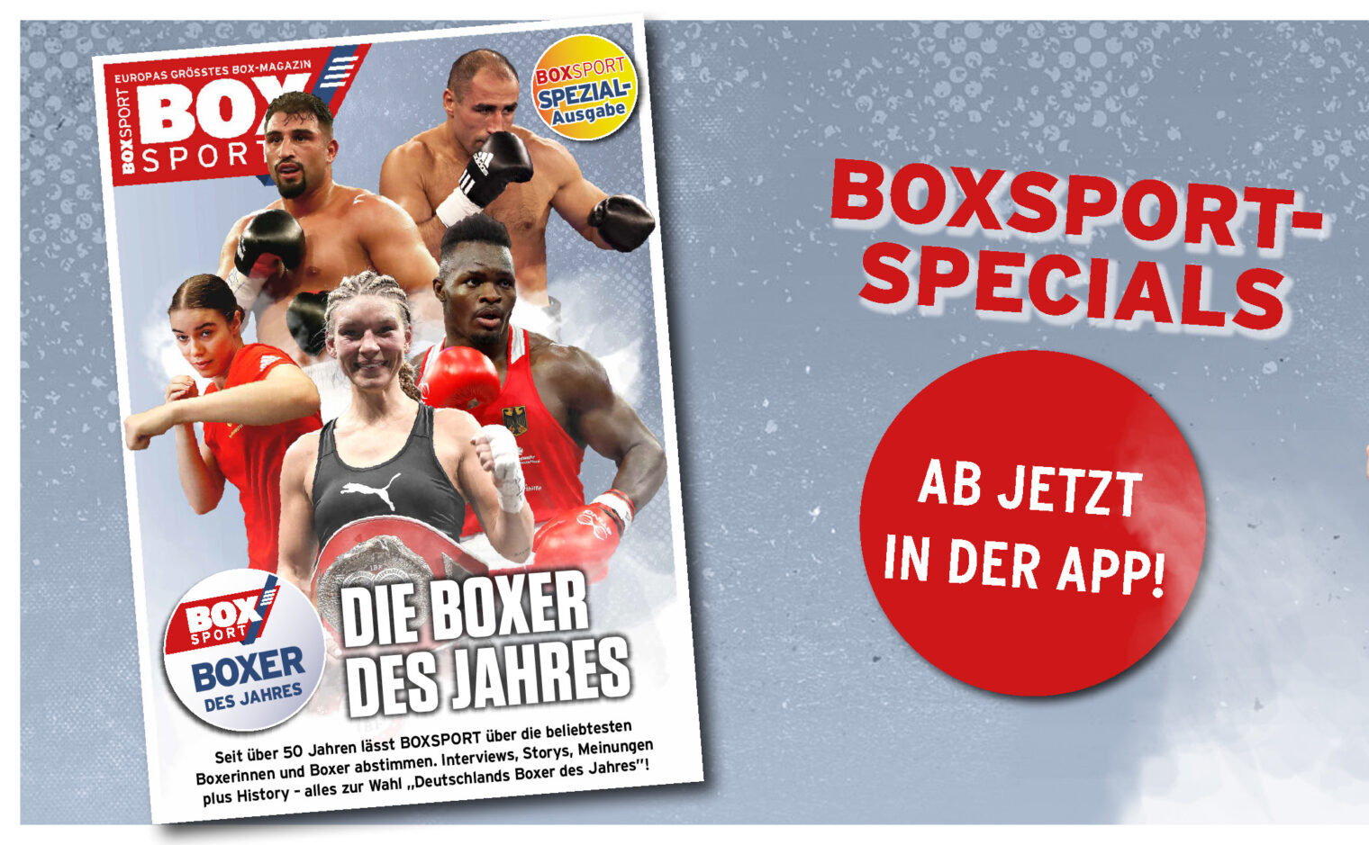 Boxsport-Special: Boxer des Jahres | BOXSPORT
