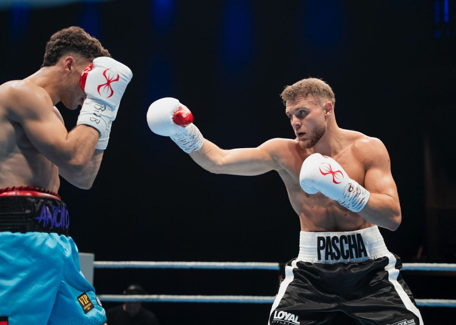 Paul Wall greift nach seinem ersten internationalen Gürtel | BOXSPORT