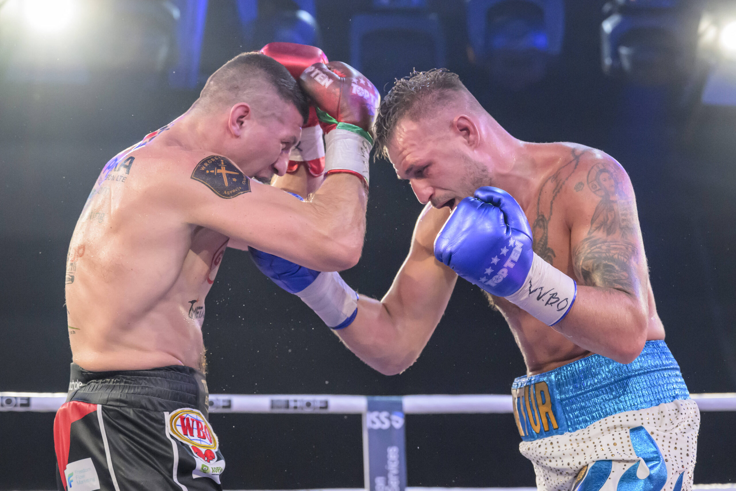 SES bringt „Double Rematch“ nach Halle | BOXSPORT